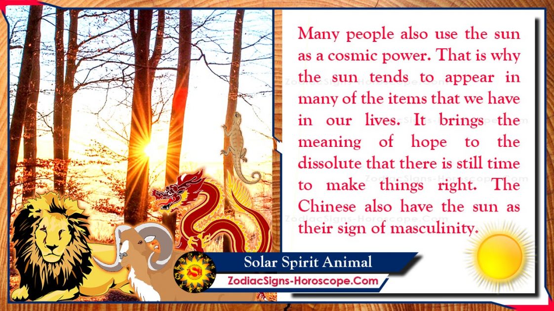 Solar Animal Symbolism: Totemic and Symbolic Meanings | ZSH