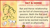 Rat and Horse Love Compatibility, Relationship & Traits in Chinese Zodiac