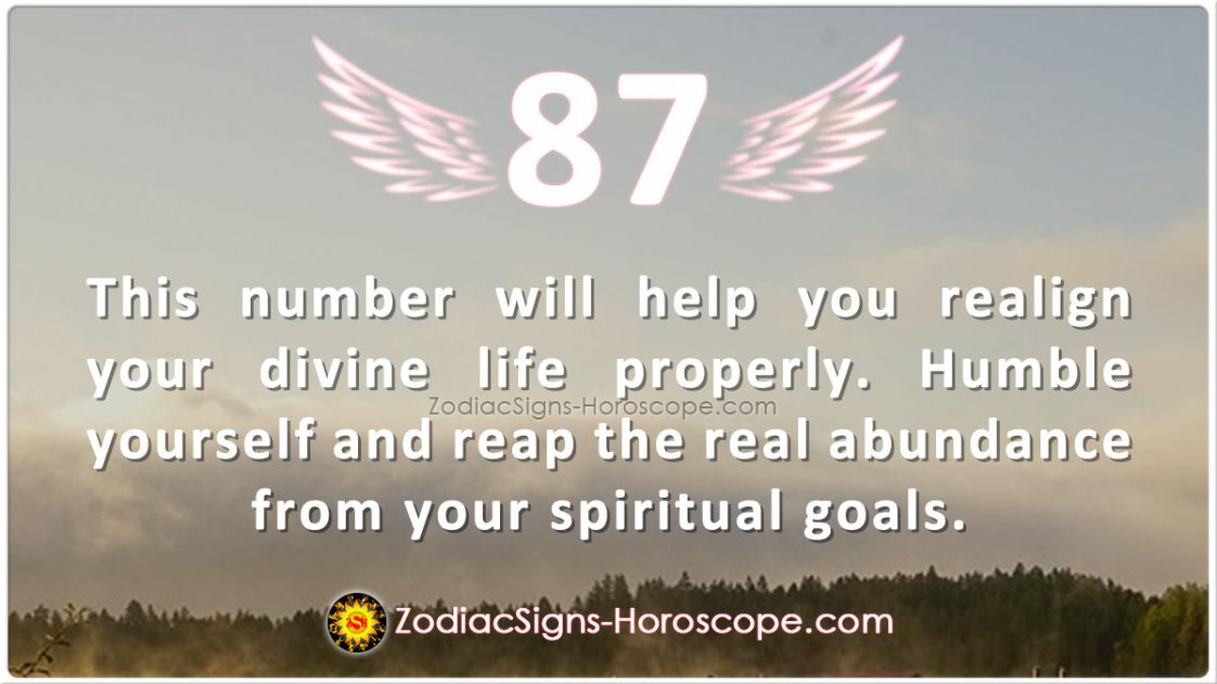 Angel Number 87 Meaning: Real Abundance through Spiritual Goals | ZSH