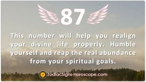 Angel Number 87 Meaning: Real Abundance through Spiritual Goals | ZSH