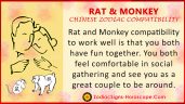 Rat and Monkey Love Compatibility, Relationship, Traits in Chinese Zodiac