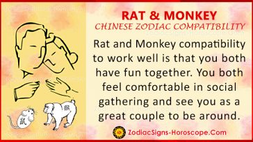 Rat and Monkey Love Compatibility, Relationship, Traits in Chinese Zodiac