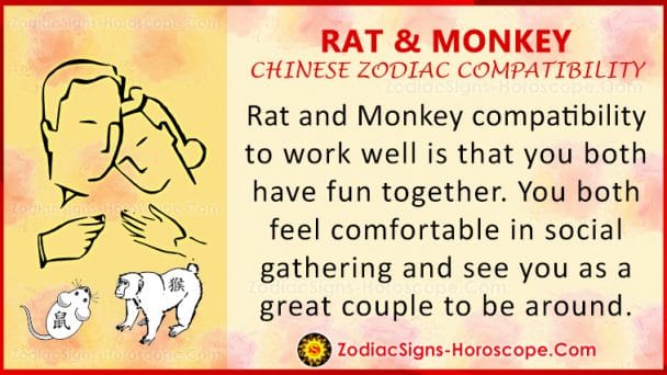 Rat and Monkey Love Compatibility, Relationship, Traits in Chinese Zodiac