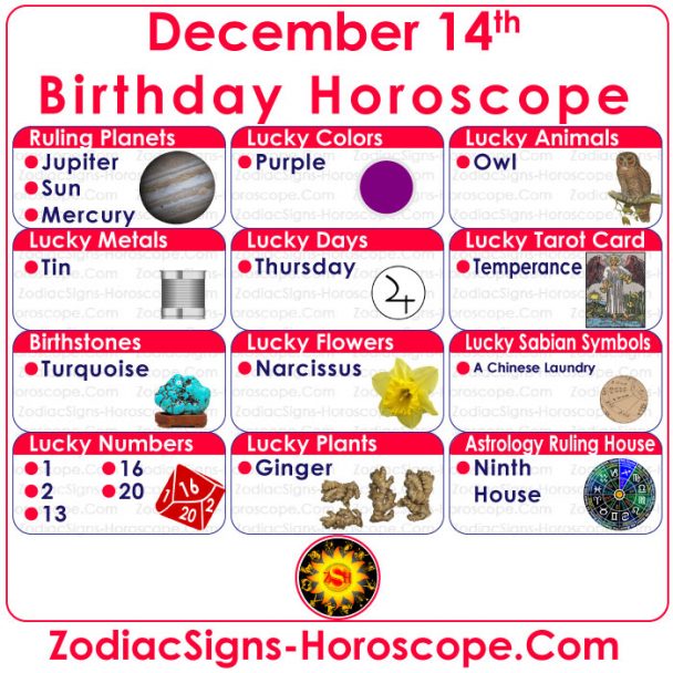 December 14 Zodiac (Sagittarius) Horoscope Birthday Personality and ...