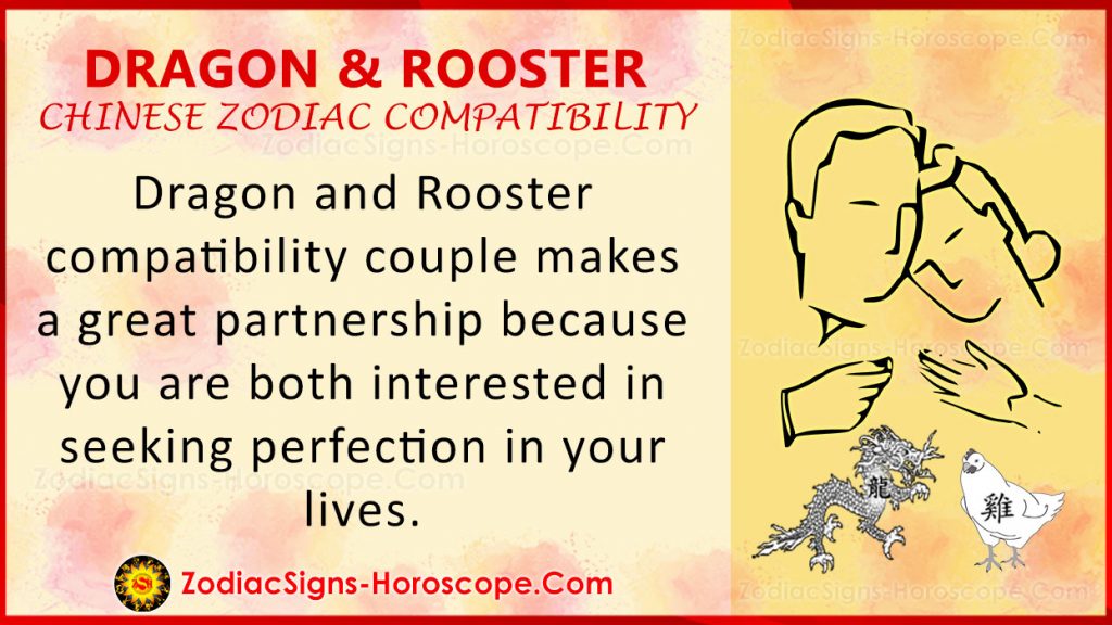 Compatibilidad del zodiaco chino del dragón y el gallo: amor y relación