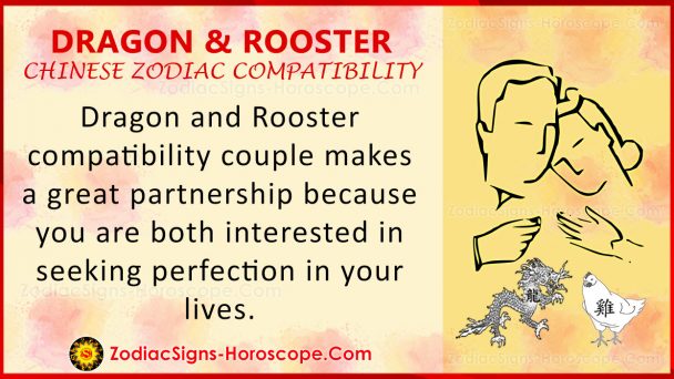 Dragon and Rooster Chinese Zodiac Compatibility: Love and Relationship