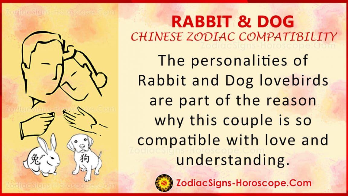 Rabbit and Dog Chinese Zodiac Compatibility: Love and Relationship