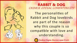 Rabbit and Dog Chinese Zodiac Compatibility: Love and Relationship