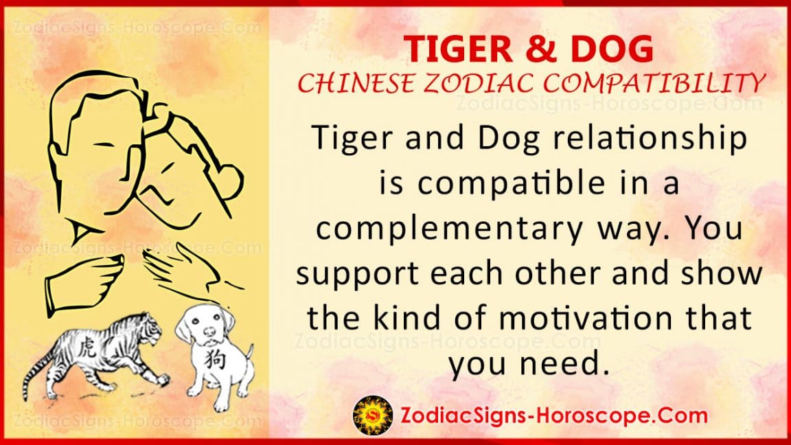 Tiger and Dog Chinese Zodiac Compatibility: Love and Relationship