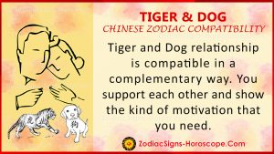 Tiger and Dog Chinese Zodiac Compatibility: Love and Relationship