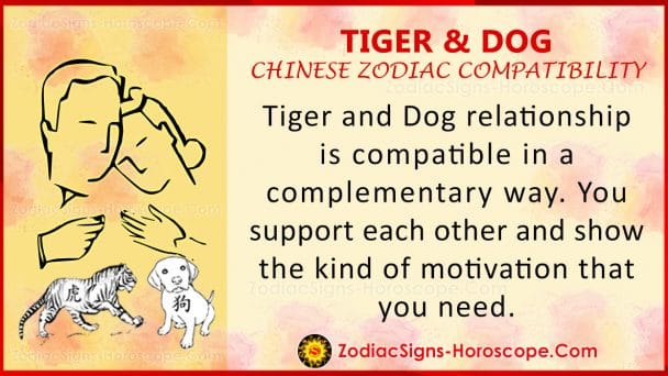 Tiger and Dog Chinese Zodiac Compatibility: Love and Relationship