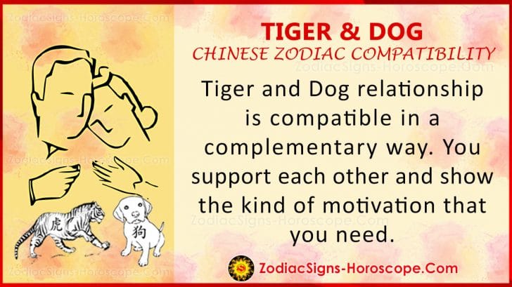 Tiger and Dog Chinese Zodiac Compatibility: Love and Relationship
