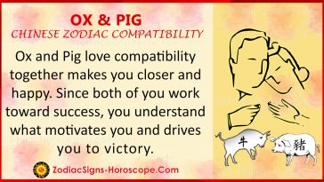 Ox and Pig Love Compatibility, Relationship and Traits in Chinese Zodiac