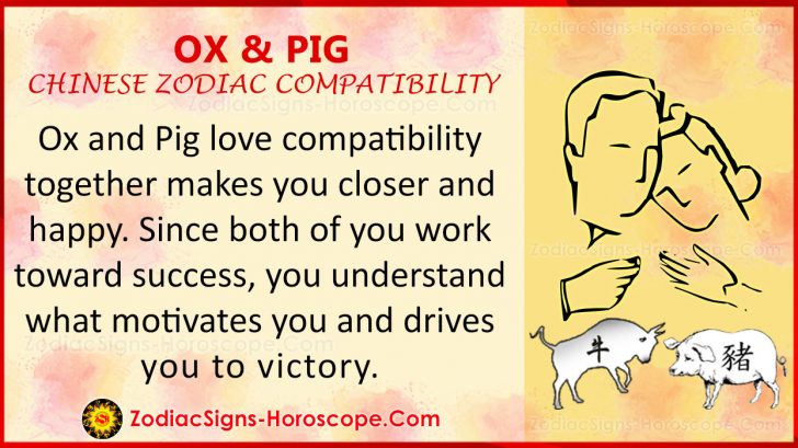 Ox and Pig Love Compatibility, Relationship and Traits in Chinese Zodiac