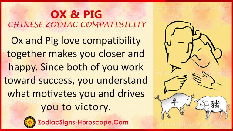 Ox and Pig Love Compatibility, Relationship and Traits in Chinese Zodiac