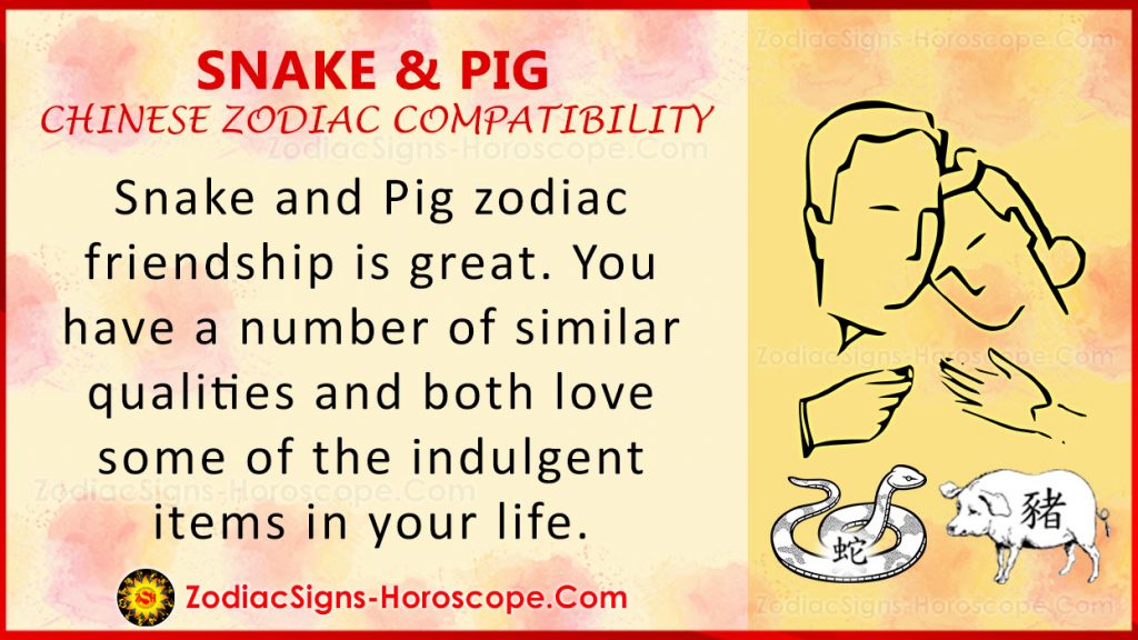 Snake and Pig Chinese Zodiac Compatibility: Love and Relationship | ZSH