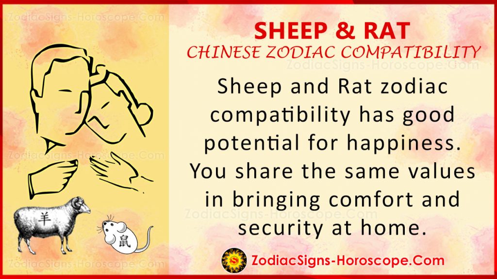 Sheep and Rat Chinese Zodiac Compatibility: Love and Relationship | ZSH