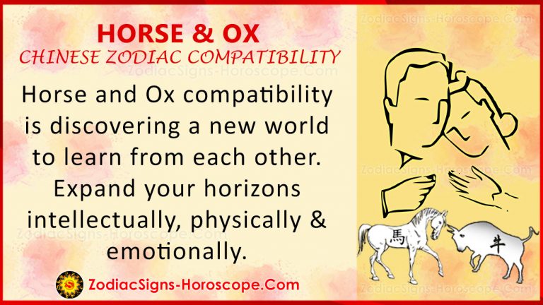 Horse and Ox Chinese Zodiac Compatibility: Love and Relationship | ZSH
