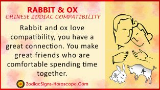 Rabbit and Ox Chinese Zodiac Compatibility: Love and Relationship | ZSH