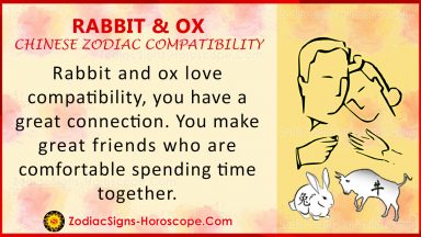 Rabbit and Ox Chinese Zodiac Compatibility: Love and Relationship | ZSH
