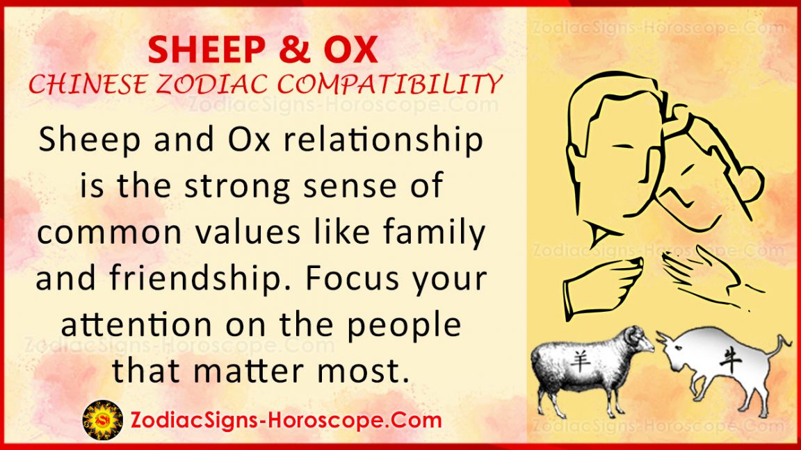 Sheep and Ox Chinese Zodiac Compatibility: Love and Relationship | ZSH