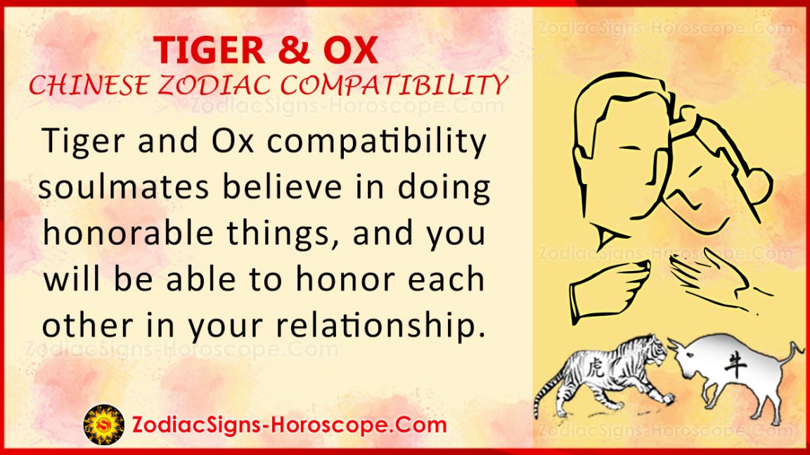 Tiger and Ox Love Compatibility, Relationship and Traits in Chinese Zodiac