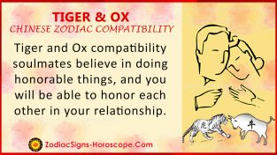 Tiger and Ox Love Compatibility, Relationship and Traits in Chinese Zodiac