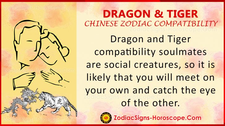 Dragon and Tiger Chinese Zodiac Compatibility: Love and Relationship