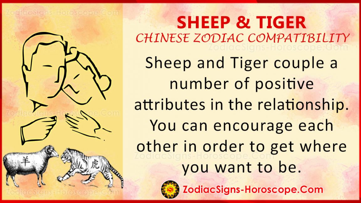 Sheep and Tiger Chinese Zodiac Compatibility: Love and Relationship