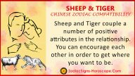 Sheep and Tiger Chinese Zodiac Compatibility: Love and Relationship