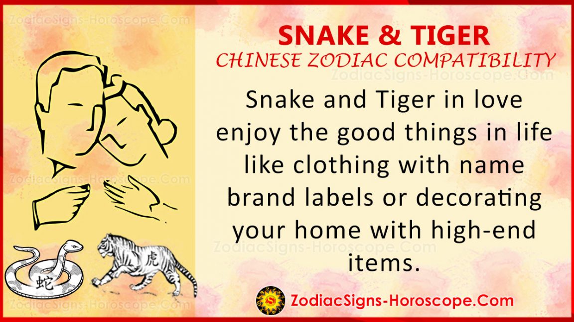Snake and Tiger Chinese Zodiac Compatibility: Love and Relationship