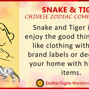 Snake and Ox Chinese Zodiac Compatibility: Love and Relationship