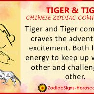 Tiger and Rabbit Love Compatibility, Relationship, Traits in Chinese Zodiac