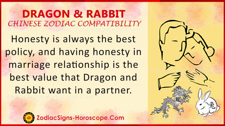 Dragon and Rabbit Chinese Zodiac Compatibility: Love and Relationship
