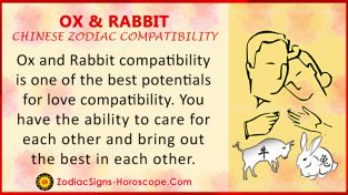 Ox and Rabbit Love Compatibility, Relationship & Traits in Chinese Zodiac
