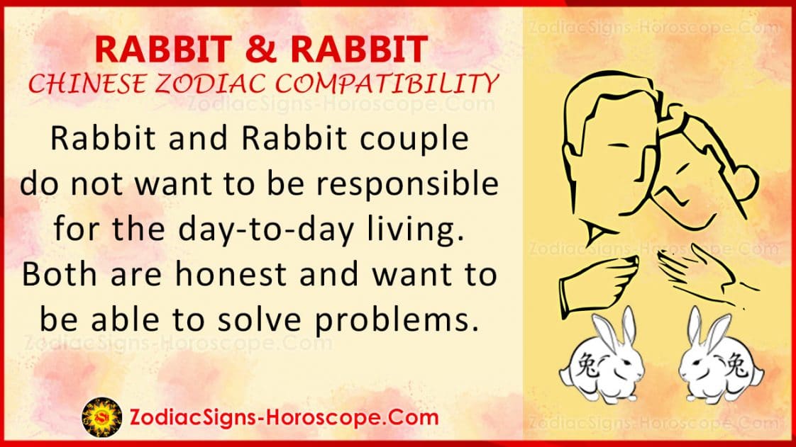 Rabbit and Rabbit Chinese Zodiac Compatibility: Love and Relationship