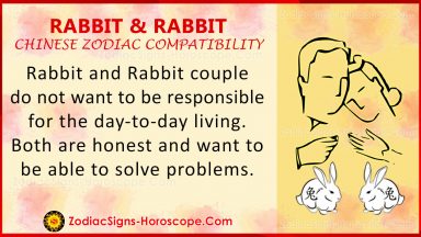 Rabbit and Rabbit Chinese Zodiac Compatibility: Love and Relationship