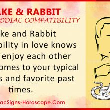 Snake and Dragon Chinese Zodiac Compatibility: Love and Relationship