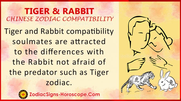 Tiger and Rabbit Love Compatibility, Relationship, Traits in Chinese Zodiac