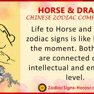 Horse and Snake Chinese Zodiac Compatibility: Love and Relationship
