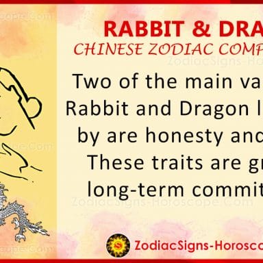 Rabbit and Snake Chinese Zodiac Compatibility: Love and Relationship