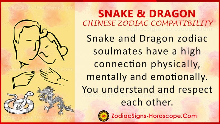 Snake and Dragon Chinese Zodiac Compatibility: Love and Relationship