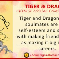 Tiger and Rabbit Love Compatibility, Relationship, Traits in Chinese Zodiac
