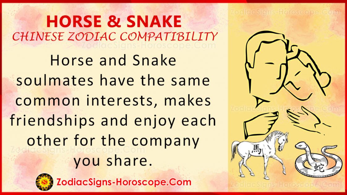 Horse and Snake Chinese Zodiac Compatibility: Love and Relationship