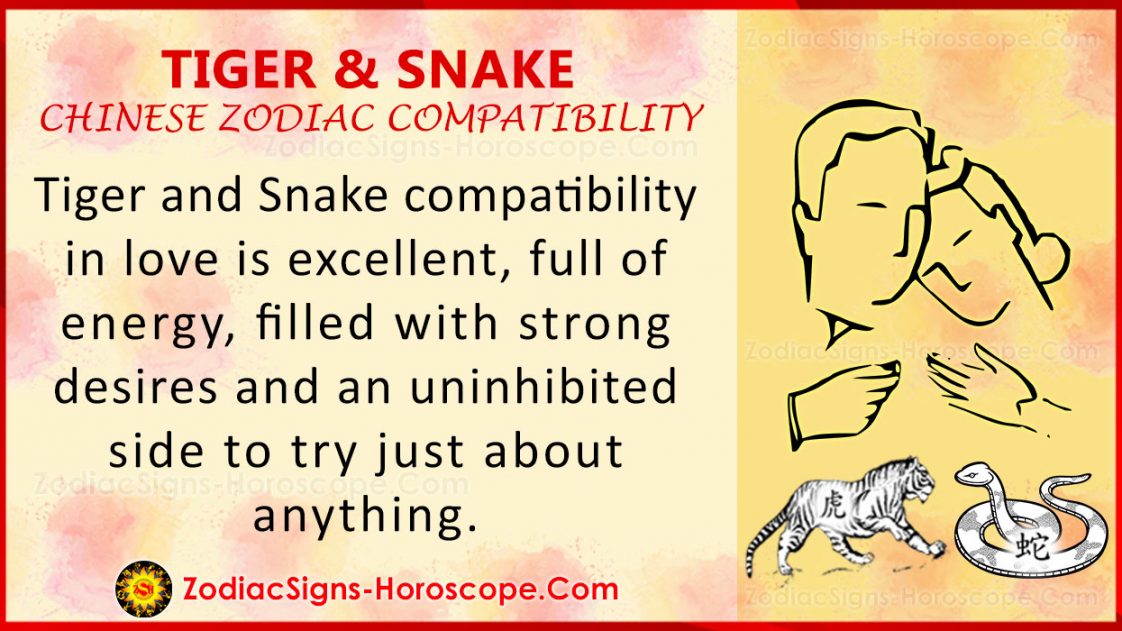 Tiger and Snake Love Compatibility, Relationship, Traits in Chinese Zodiac
