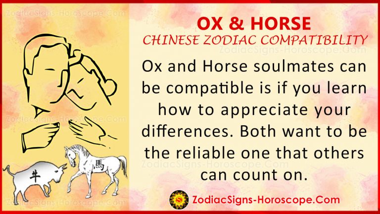 Ox and Horse Love Compatibility, Relationship & Traits in Chinese Zodiac