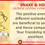 Snake and Sheep Chinese Zodiac Compatibility: Love and Relationship