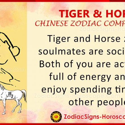 Tiger and Sheep Love Compatibility, Relationship, Traits in Chinese Zodiac