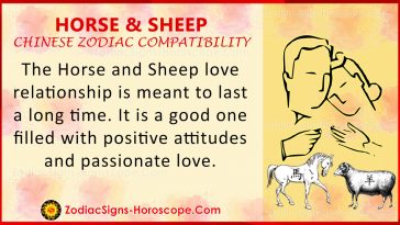 Horse and Sheep Chinese Zodiac Compatibility: Love and Relationship