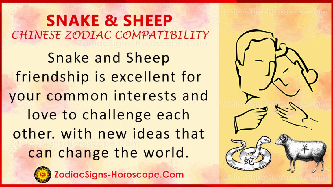 Snake and Sheep Chinese Zodiac Compatibility: Love and Relationship